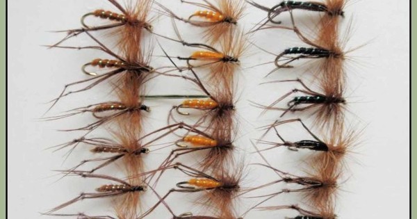Barbless hopper fishing flies, fly fishing, autumn flies, troutflies UK