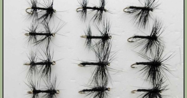 Barbless Knotted Midge & Barbless Black Spider dry trout fishing flies