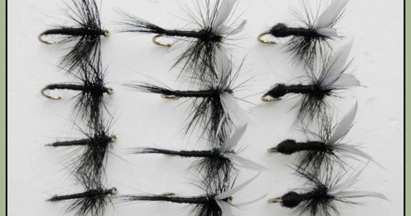Barbless Black dry trout fishing flies gnats, spider ant Troutflies Uk