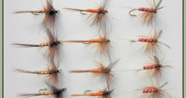 spinner fishing fly dry flies for fly fishing Troutflies UK