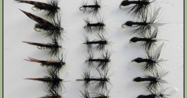 dry trout fishing flies, ants,gnats and alder - Troutflies UK