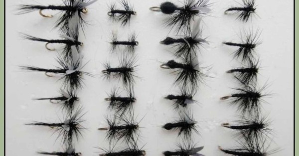Black Dry Flies, for fly fishing - Troutflies UK