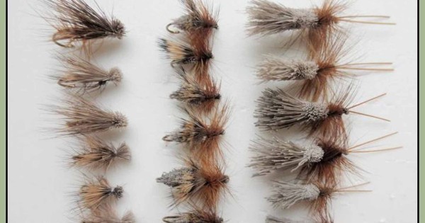 Sedge trout flies, elk,deer G & H - Troutflies UK