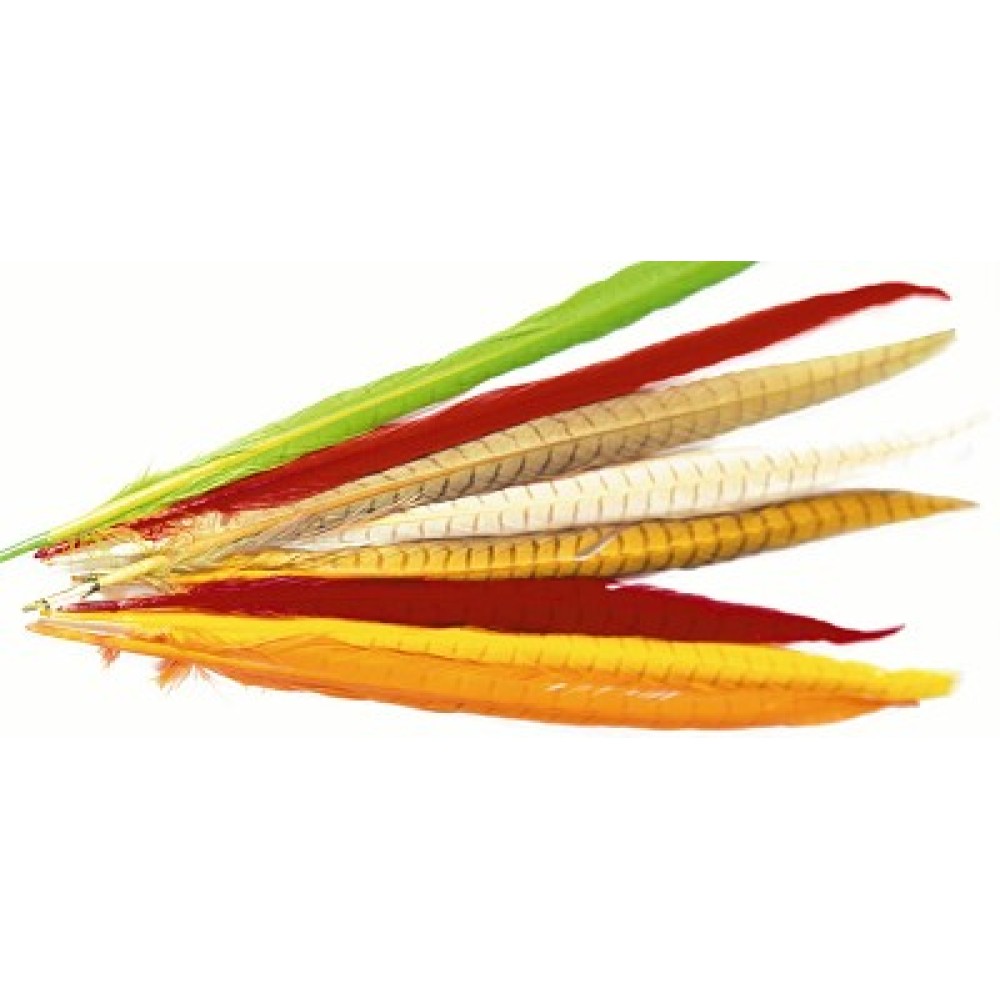 Pheasant Fly Tying Feathers, dyed centre tails -Troutflies UK