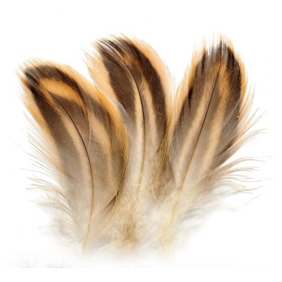 Mallard hen Fly Tying Feathers -Troutflies UK