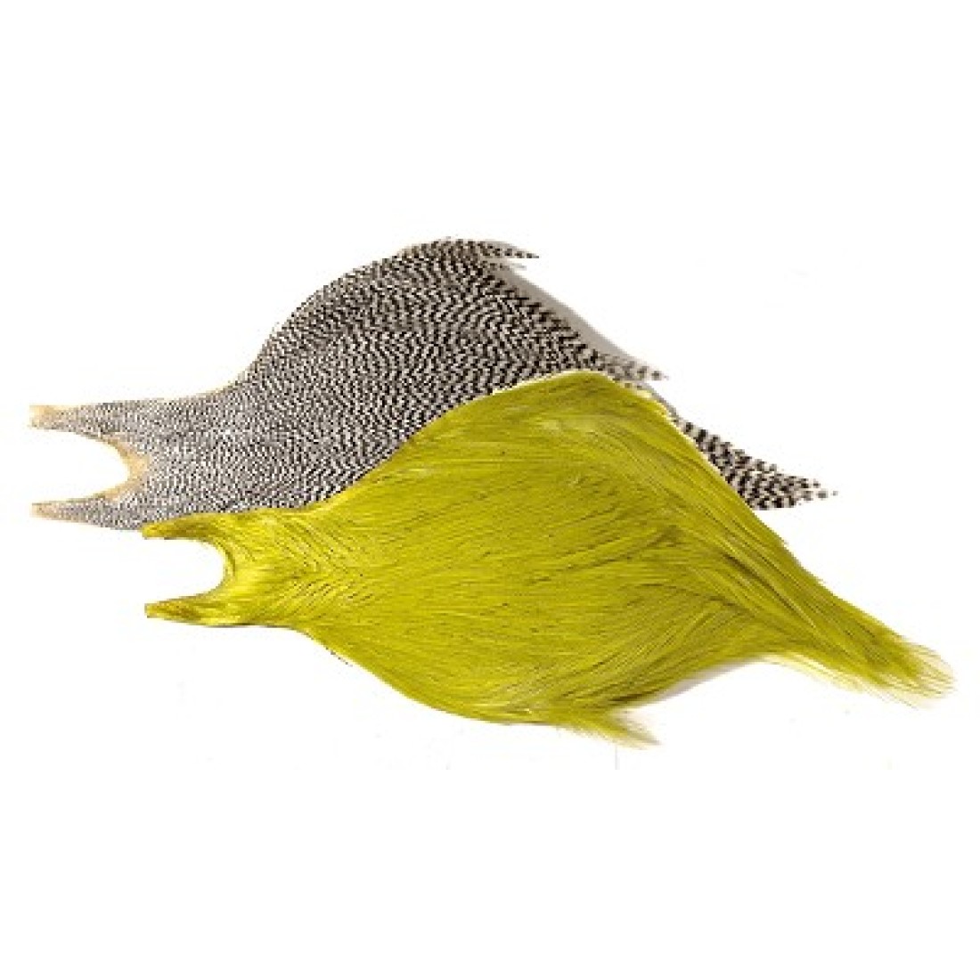Cock pheasant Cape Feathers for Fly Tying Troutflies UK
