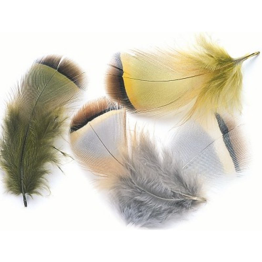 French Partridge Fly Tying Feathers -Troutflies UK