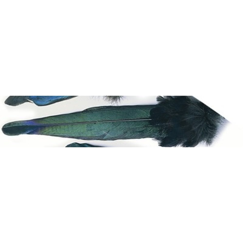 Magpie fly tying tail feathers -Troutflies UK