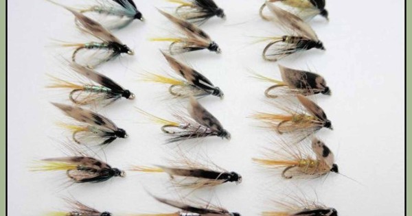 Invicta wet fishing flies loch flies- Troutflies UK