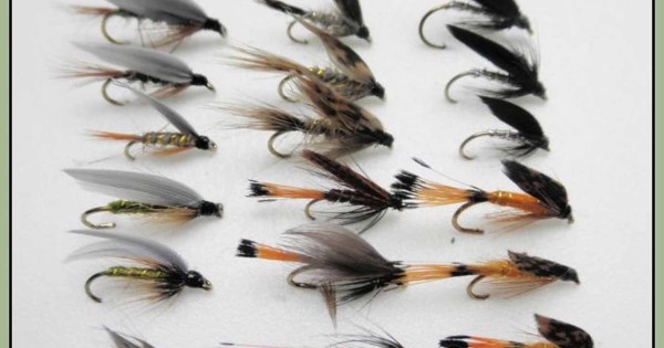 Pack of mixed wet trout fishing flies - Troutflies UK