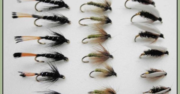wet fishing fly multi pack 18 per pack Troutflies UK