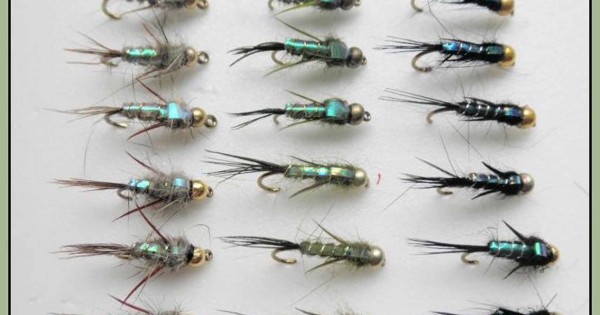 Evil Weevil Trout Flies goldhead nymphs - Troutflies UK